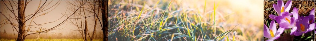 Tourisme et Animation - Bureau du Tourisme de Chiny si