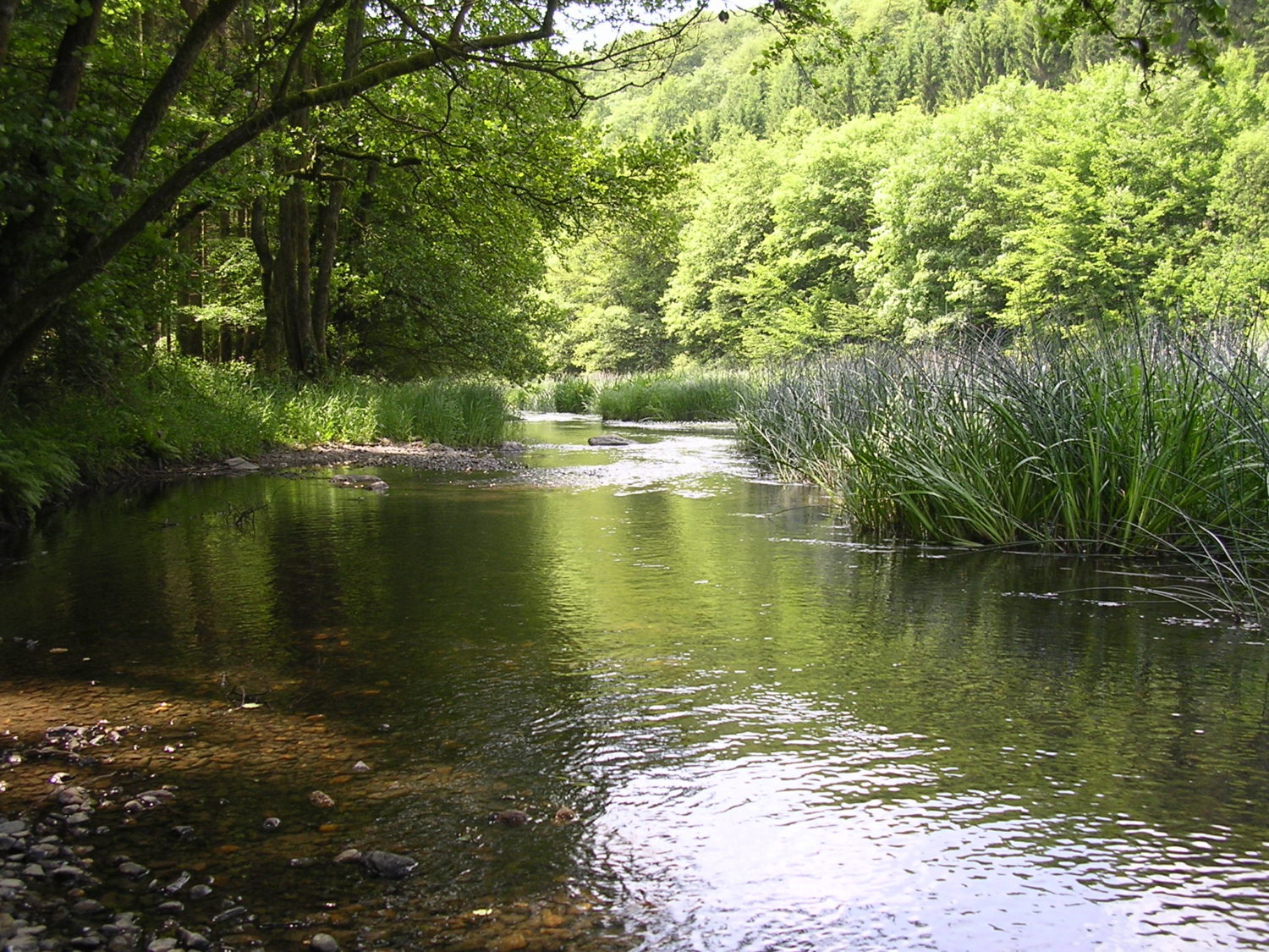 Toerisme animatie diensten - Bureau du Tourisme de Chiny si
